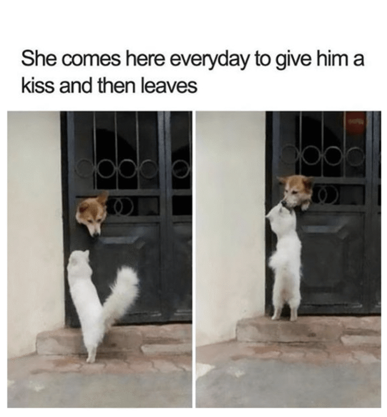25 Kissing Memes to Celebrate International Kissing Day - Funny