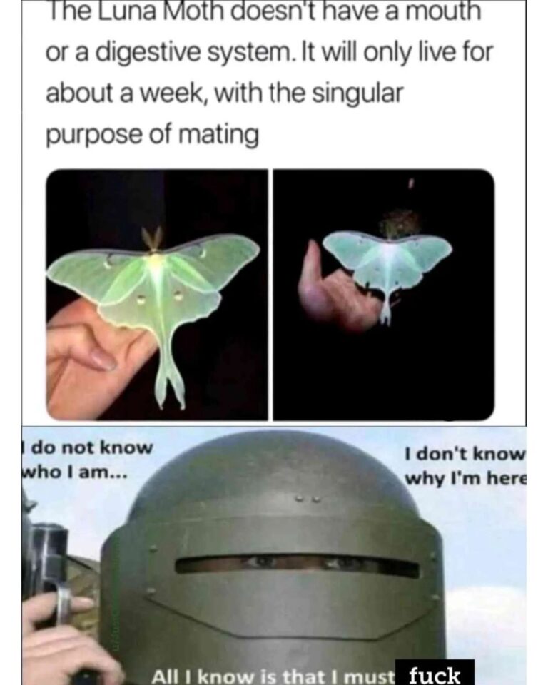 35 Scientific Memes That’ll Make You Laugh Like a Mad Scientist - Funny