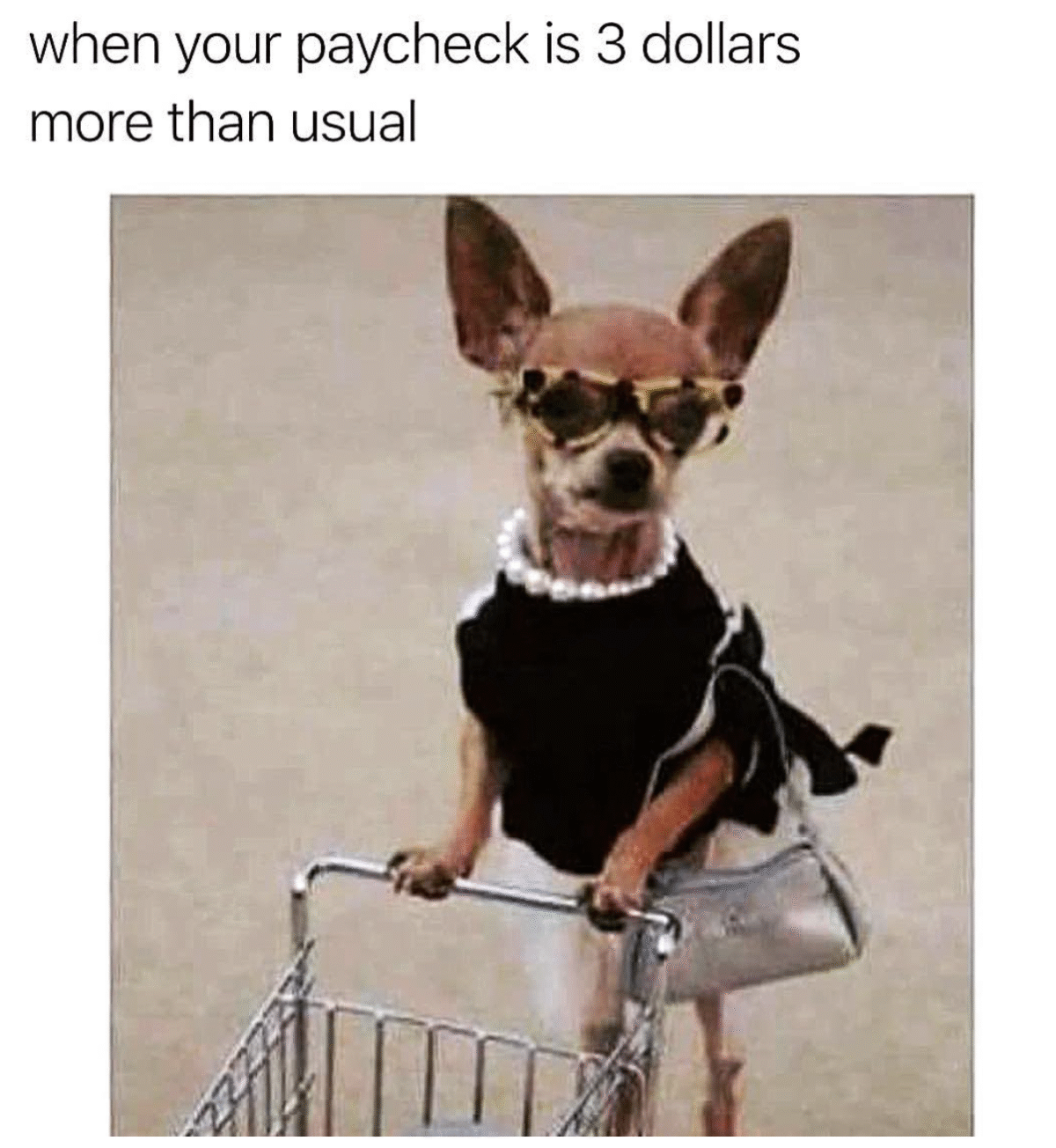 20 Payday Memes on How Your Paycheck Disappears - Funny