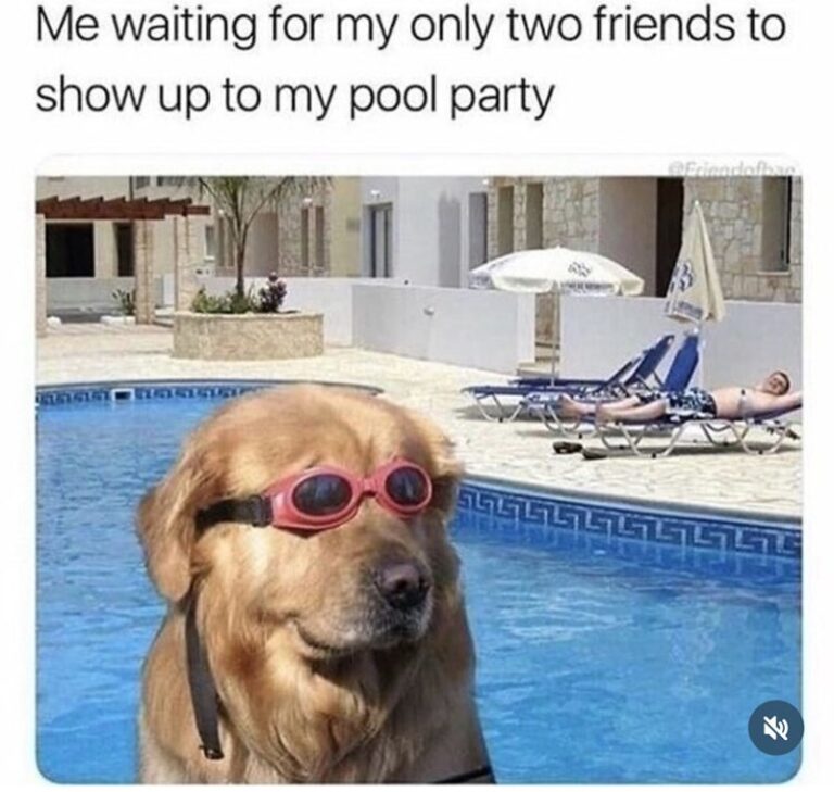 20 Swimming Pool Memes to Keep Your Laughs Above Water - Funny