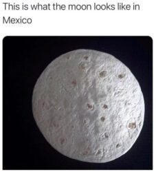 25 Hilarious Moon Memes to Light Up International Moon Day - Jokes