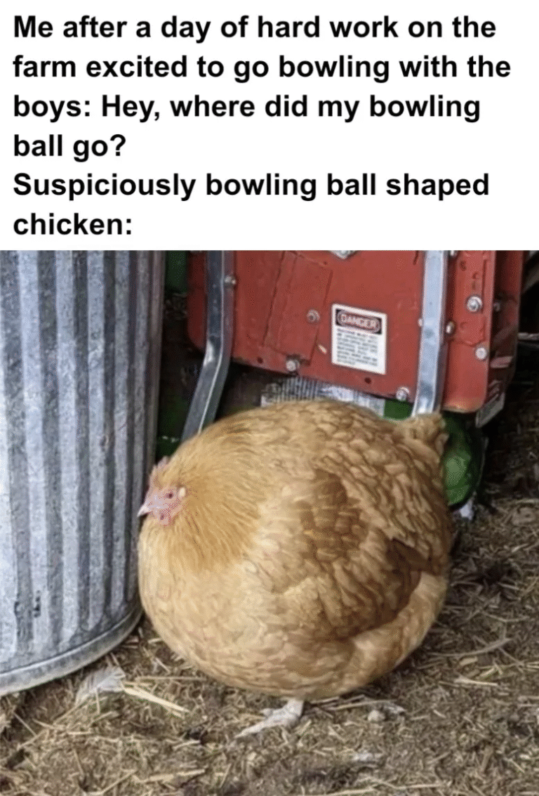 20 Bowling Memes That Will Knock You Down with Laughter - Sports