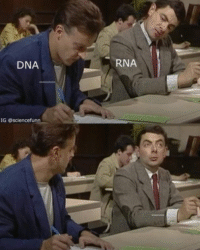 24 DNA Memes That Are Genetically Engineered for Laughs - Funny