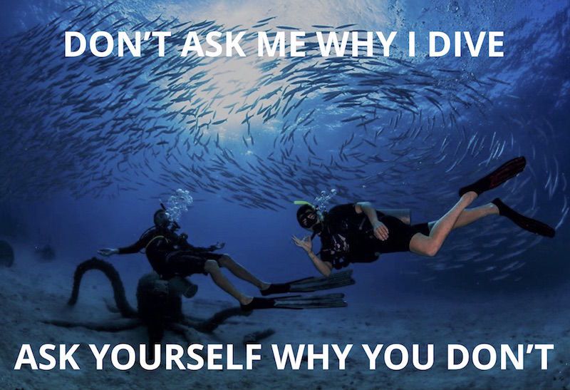24 Scuba Memes to Dive Into on International Scuba Day - Sports