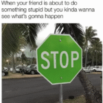 20 Stop Sign Memes to Mark World Stop Sign Day with Humor - Epic Fails