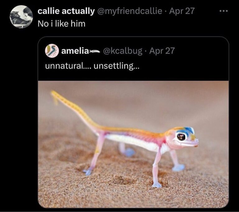 30 Lizard Memes to Honor World Lizard Day - Animals