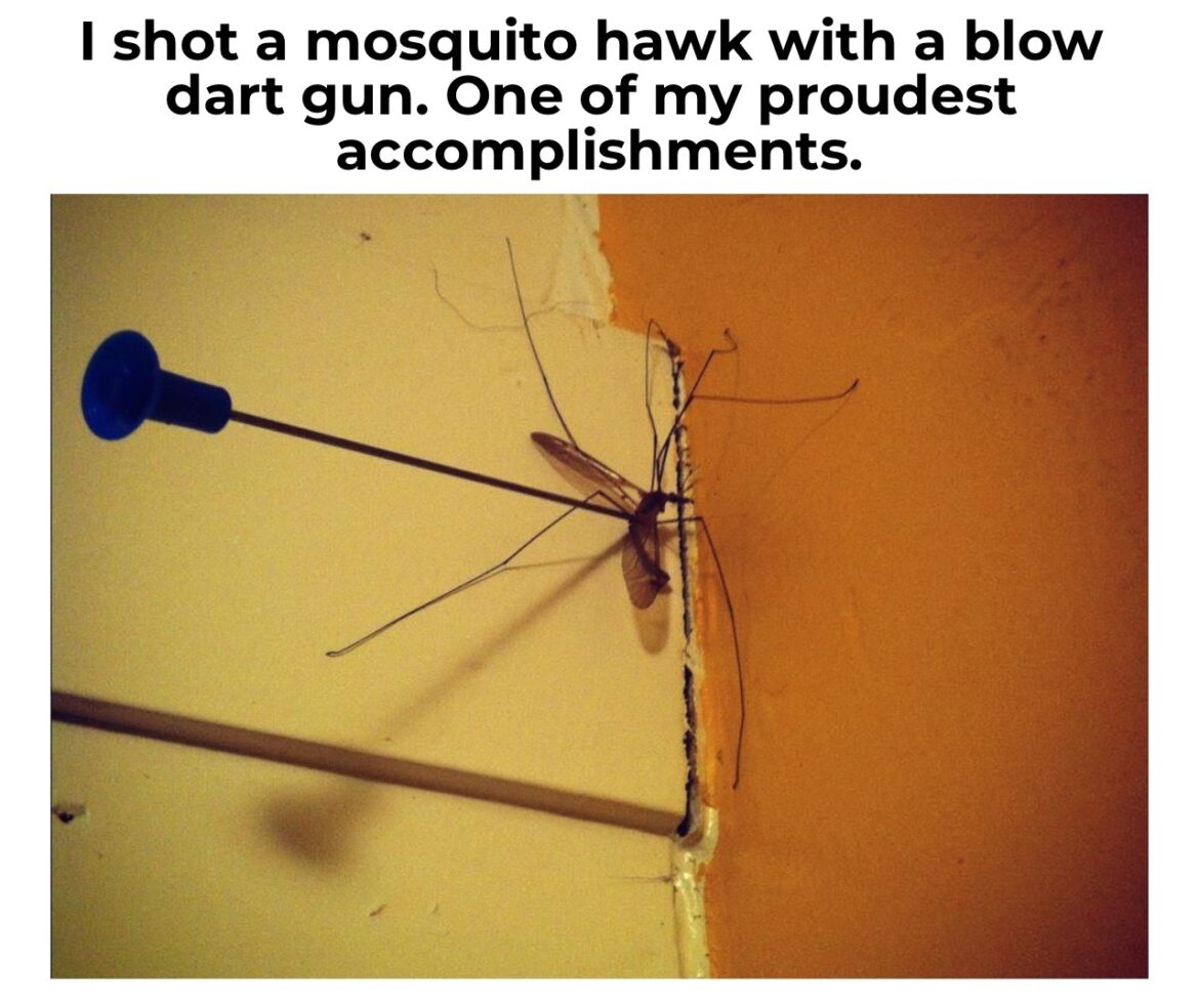 35 Mosquito Memes That Will Have You Itching with Laughter on World ...