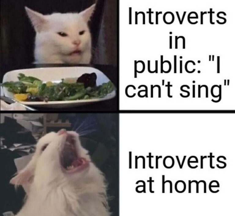 25 Shy Introvert Memes for When Your Social Battery Is at 1% - Funny