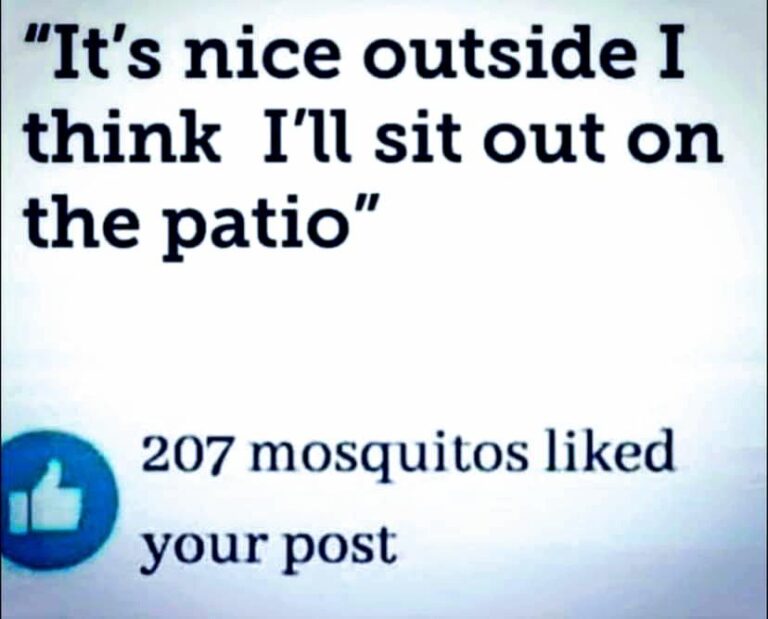35 Mosquito Memes That Will Have You Itching with Laughter on World ...