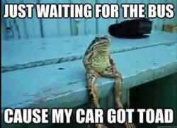 35 Corny Memes That You Cant Help But Laugh At - Epic Fails
