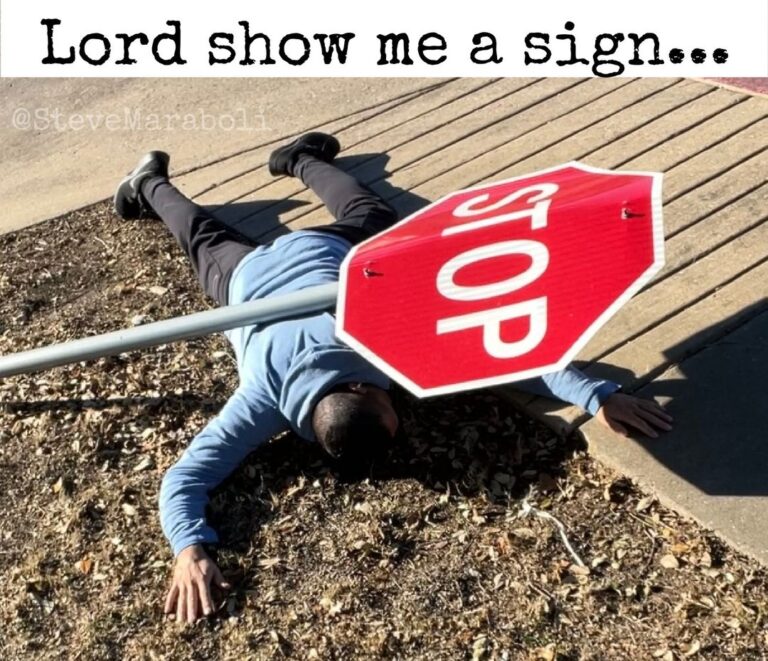 20 Stop Sign Memes to Mark World Stop Sign Day with Humor - Epic Fails