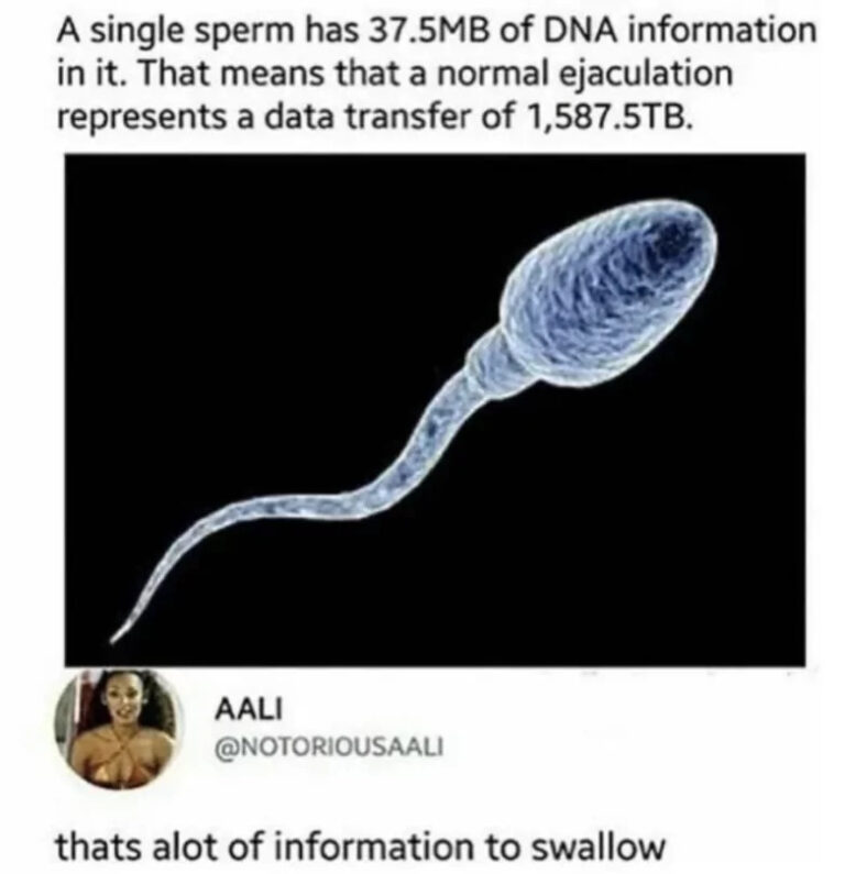 24 DNA Memes That Are Genetically Engineered for Laughs - Funny