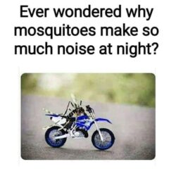 35 Mosquito Memes That Will Have You Itching with Laughter on World ...