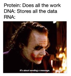 24 DNA Memes That Are Genetically Engineered for Laughs - Funny
