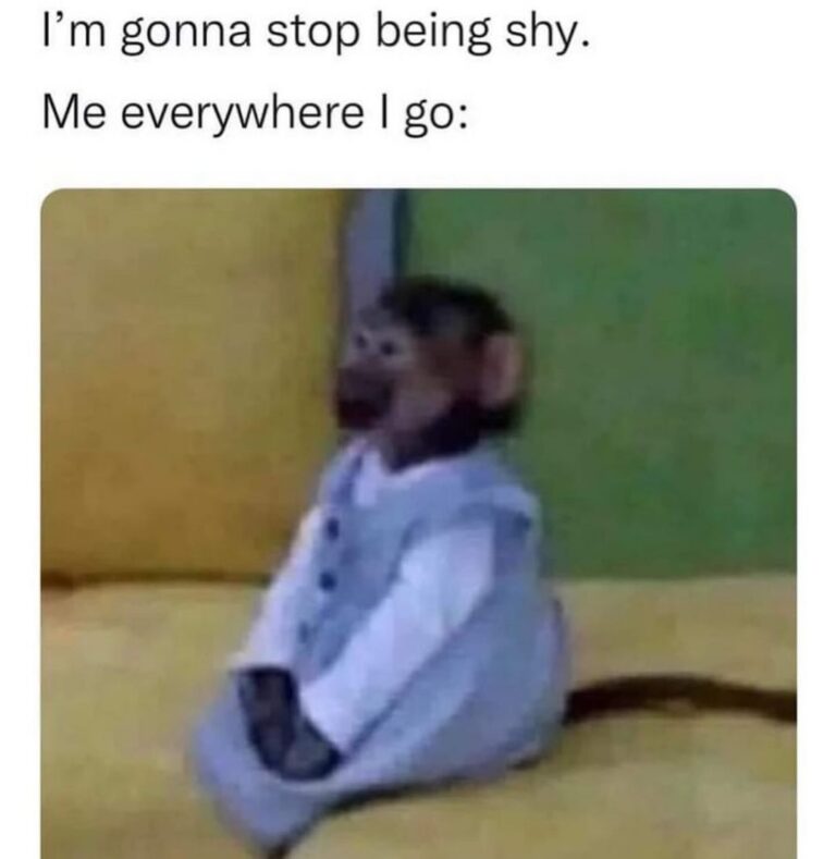 25 Shy Introvert Memes for When Your Social Battery Is at 1% - Funny