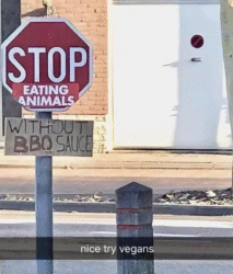 20 Stop Sign Memes to Mark World Stop Sign Day with Humor - Epic Fails