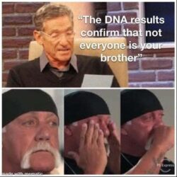 24 DNA Memes That Are Genetically Engineered for Laughs - Funny