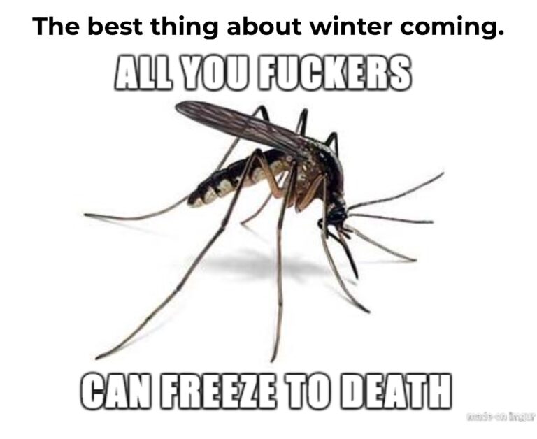 35 Mosquito Memes That Will Have You Itching with Laughter on World ...