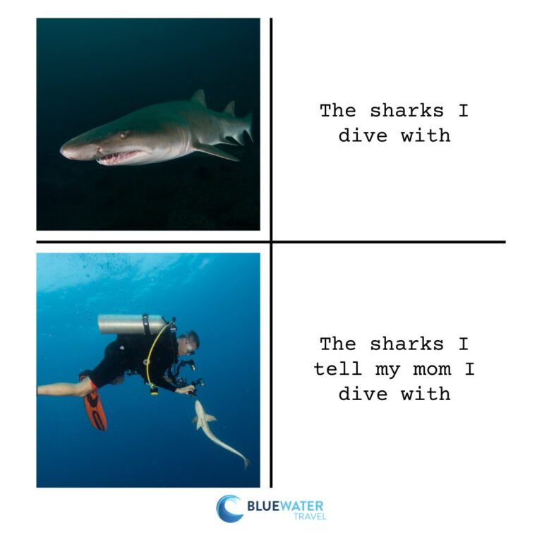 24 Scuba Memes to Dive Into on International Scuba Day - Sports