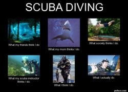 24 Scuba Memes to Dive Into on International Scuba Day - Sports