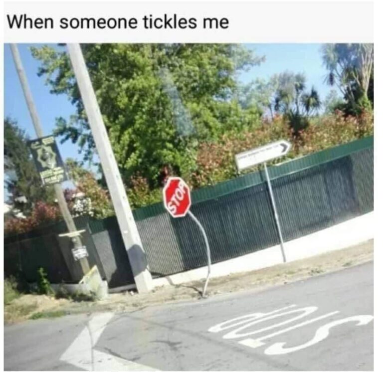 20 Stop Sign Memes to Mark World Stop Sign Day with Humor - Epic Fails