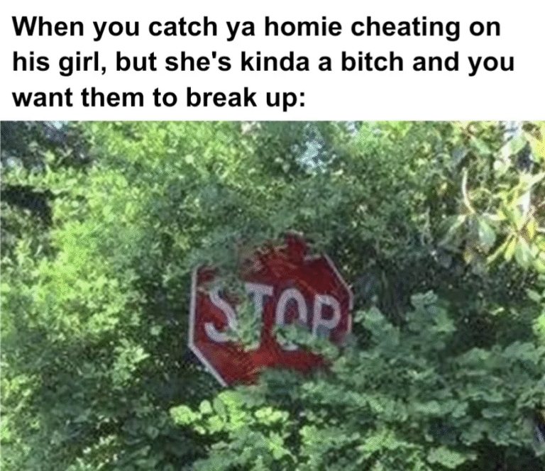 20 Stop Sign Memes to Mark World Stop Sign Day with Humor - Epic Fails
