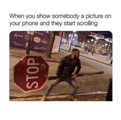 20 Stop Sign Memes to Mark World Stop Sign Day with Humor - Epic Fails