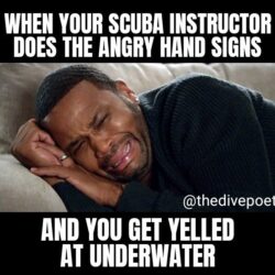 24 Scuba Memes to Dive Into on International Scuba Day - Sports