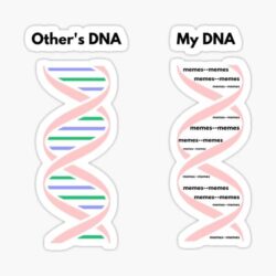 24 DNA Memes That Are Genetically Engineered for Laughs - Funny