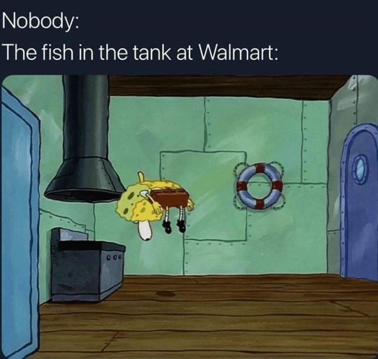 25 Walmart Memes That’ll Have You Rolling Down the Aisles - Epic Fails