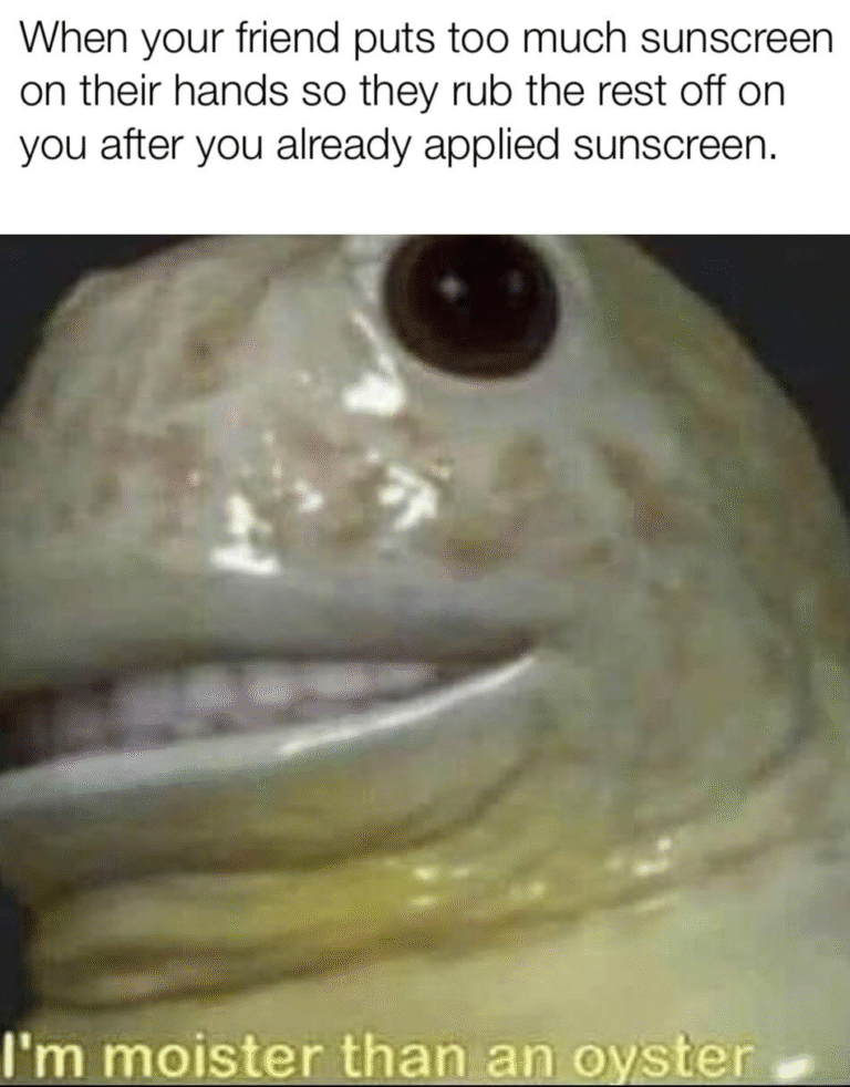 25 Fish Memes That Are the Catch of the Day - Animals