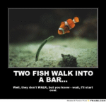 25 Fish Memes That Are the Catch of the Day - Animals