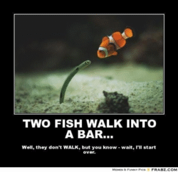 25 Fish Memes That Are the Catch of the Day - Animals