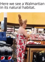 25 Walmart Memes That’ll Have You Rolling Down the Aisles - Epic Fails