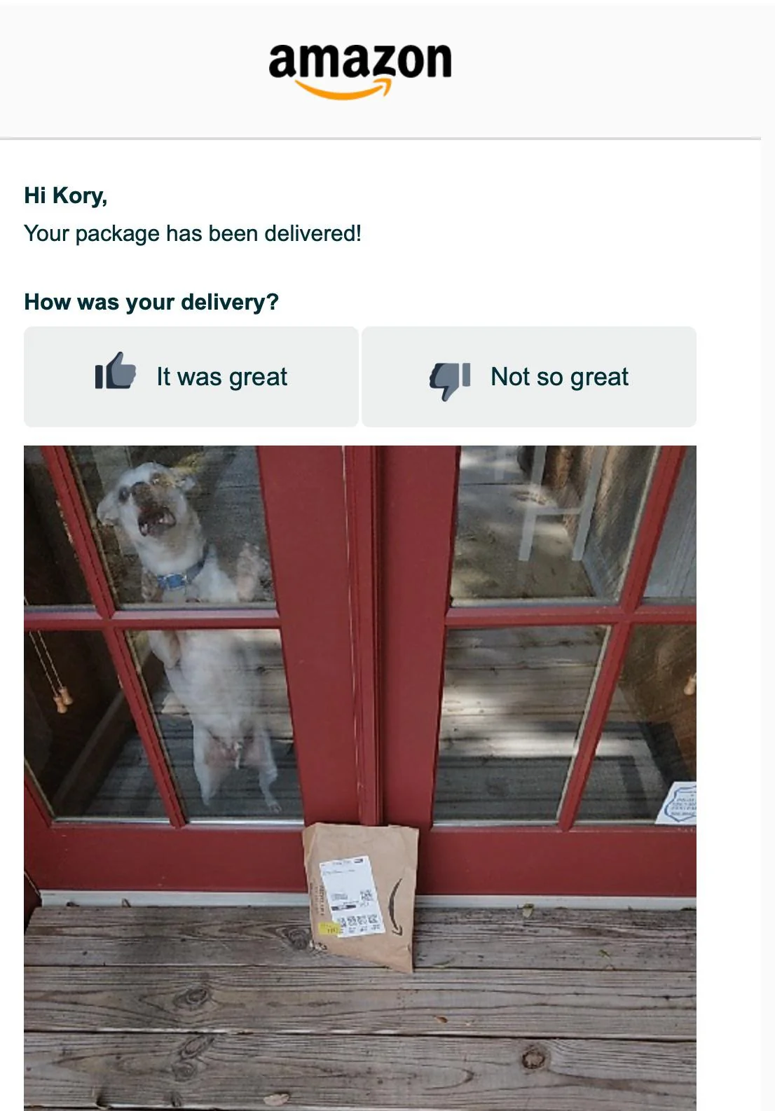 20 Funny Emails That Are Better Than Your Spam Folder - Funny