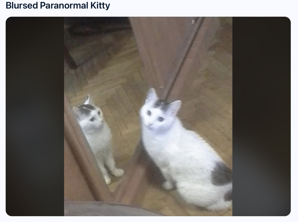 30 Paranormal Cativity That Will Paralyze You With Fear - Animals