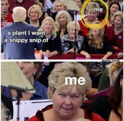 20 Plant Memes That Will Leaf You Laughing - Funny