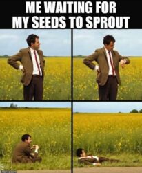 20 Plant Memes That Will Leaf You Laughing - Funny