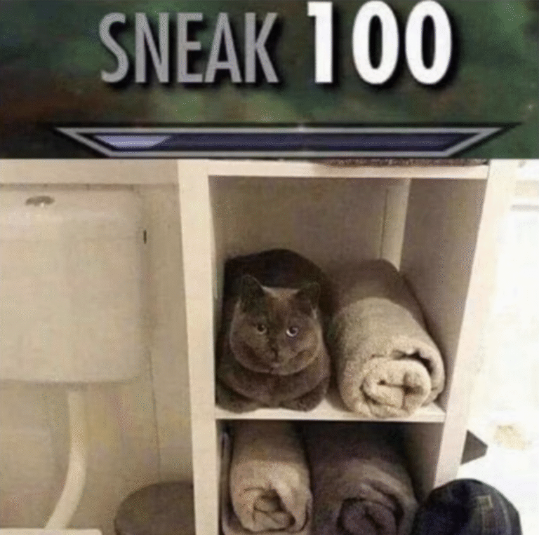 20 Sneak 100 Memes That Are Sneakily Hilarious - Funny