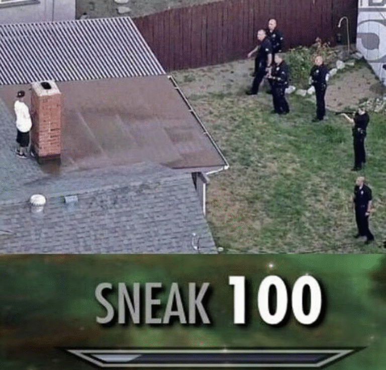 20 Sneak 100 Memes That Are Sneakily Hilarious - Funny