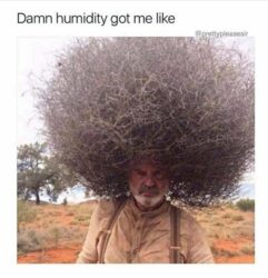 20 Plant Memes That Will Leaf You Laughing - Funny