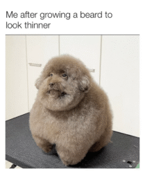 25 Beard Memes to Celebrate Facial Hair on World Beard Day - Funny