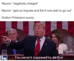 45 Science Memes That Have Been Proven To Cause Laughter - Funny