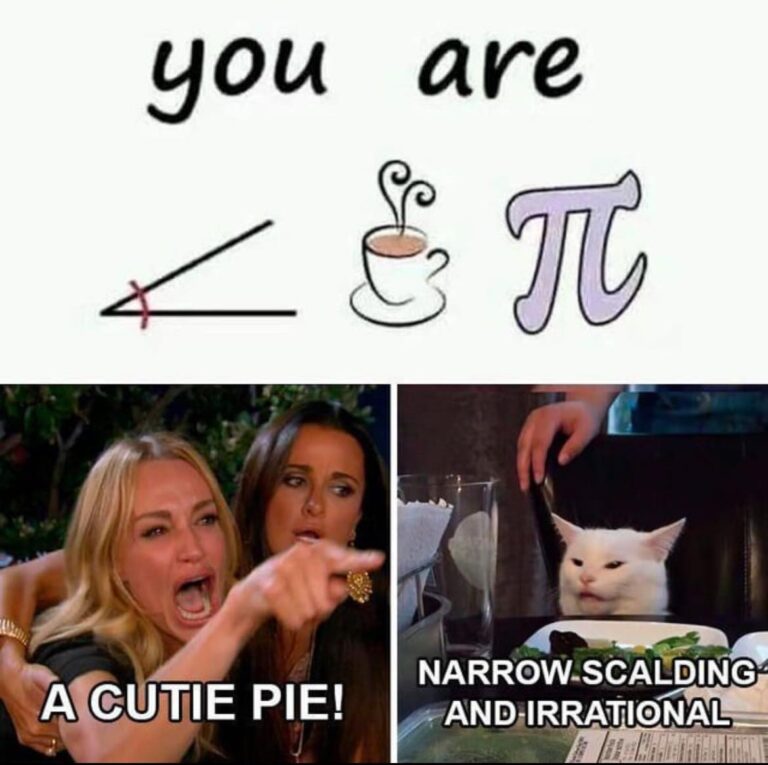 25 Mathematics Memes That’ll Multiply Your Laughter - Epic Fails
