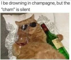 10 Champagne Memes to Pop Open for Global Champagne Day - Funny