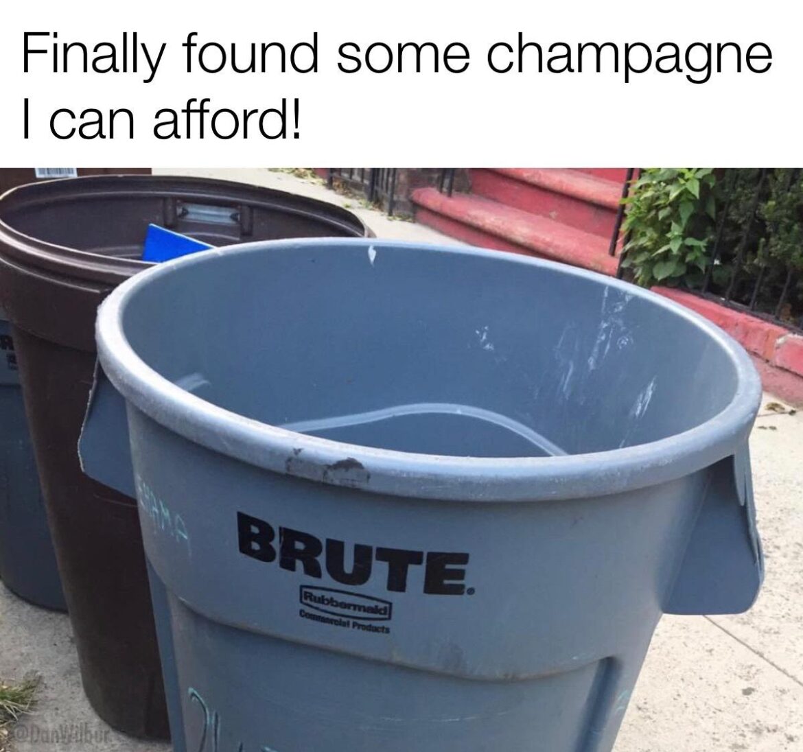 10 Champagne Memes to Pop Open for Global Champagne Day - Funny