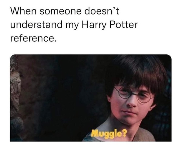 funny Harry Potter memes - Chameleon Memes funny Harry Potter memes - Chameleon Memes