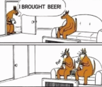 20 Kangaroo Memes That Are Hopping Mad Fun for World Kangaroo Day - Animals