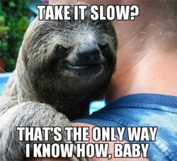 25 Sloth Memes to Help You Take It Slow on International Sloth Day ...