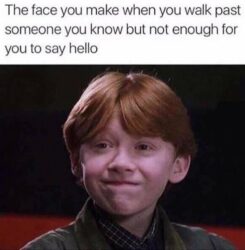 20 Harry Potter Memes for Muggles in Need of Magical Laughter - Funny